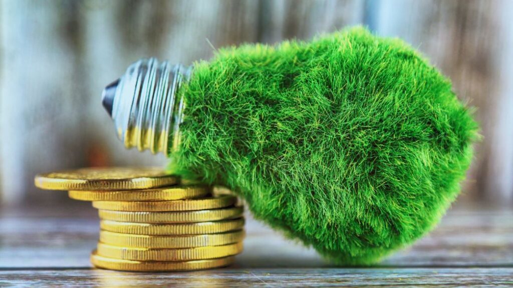 Títulos verdes ganham força no Brasil impulsionando sustentabilidade e ...